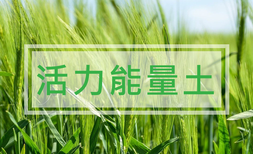 Flourishing Powder / Make Plant Grow Stonger - CHOKO
